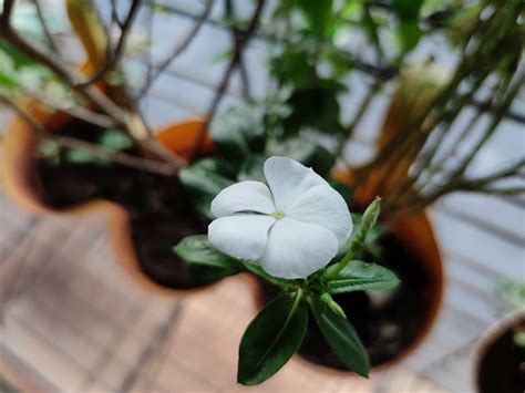 Xiaomi Mi T Pro Review Gadgets