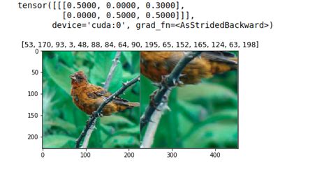 About Apn Issue 15 Jeong Tae RACNN Pytorch GitHub