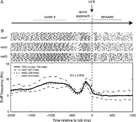Mouse Sniffing Prior To Reward Administration During The Nose Poke