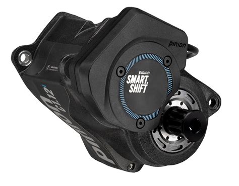 Massgefertigtes Titan Fahrrad Mit Pinion Smartshift Schaltung Die