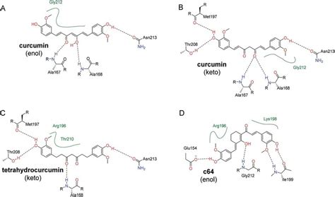 Predicted Binding Modes Of Representative Compounds With The Ssdna Download Scientific Diagram