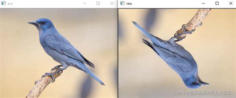 Opencv之重映射remapremap 在opencv哪个文件 Csdn博客