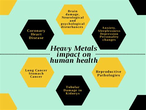 Impact Of Heavy Metals On Environment And Human Health Sigma Earth