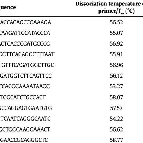 Oligonucleotide Primers Sequence Download Scientific Diagram