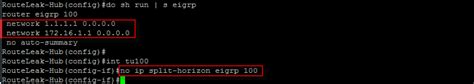 RouteLeakDMVPN Dynamic Multipoint VPN RouteLeak