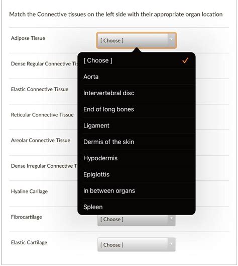 Match The Connective Tissues On The Left Side With Their Appropriate Organ Location Adipose