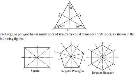 Symmetry Class 6 Maths Notes