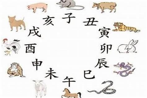 属猪与属蛇的八字合否命运的交织与和谐 运势 若朴堂文化