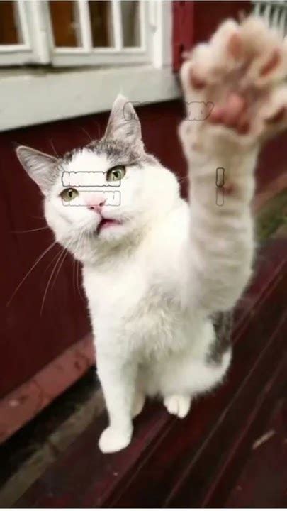 Ребята давайте добьём 600 подписчиков пожалуйста 🥺🥺🥺🥺🥺🥺🥺🥺🥺🥺🥺🥺🥺🥺 Youtube