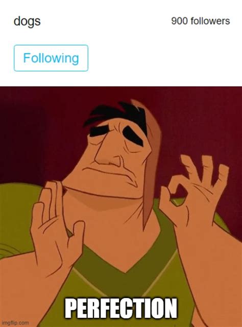 Perfection Guy Memes