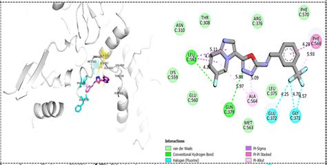 Correlation Between In Vitro Anti Urease Activity And In Silico
