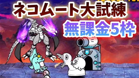 ネコムート大試練 本能解放への道 無課金5枠攻略 【にゃんこ大戦争】 Youtube