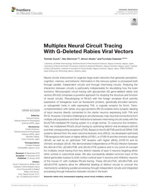 Pdf Multiplex Neural Circuit Tracing With G Deleted Rabies Viral Vectors