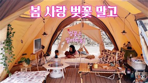 봄 사랑 벚꽃 말고 얼어죽을 벚꽃따위 궁궐같은 텐트에서 캠핑 먹방 이번 세팅 맘에 듬 새로운 화로대 공개 Youtube