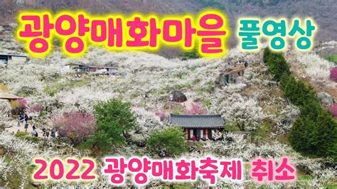 광양매화축제 2022 취소 2022 광양매화마을 풀영상 광양매화 광양매화마을 실시간 광양매화 개화시기 광양매화꽃 2022 광양매화축제 광양여행코스 광양가볼만한