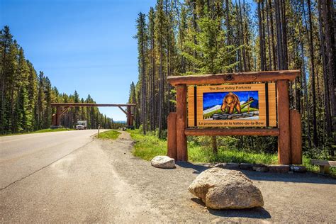 The Worlds Most Special Wildlife Crossings