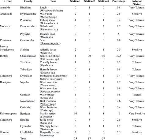 Species Composition Abundance And Distribution Of Macroinvertebrate Download Scientific