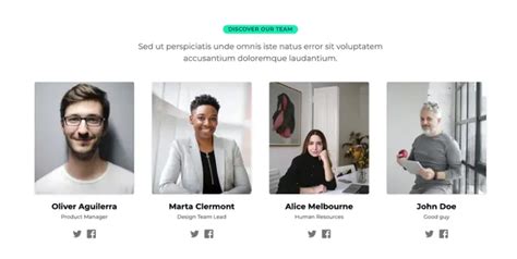 24 tailwind css team section examples