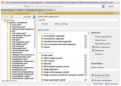 Dl Query Tab — Ontology101tutorial 10 Documentation