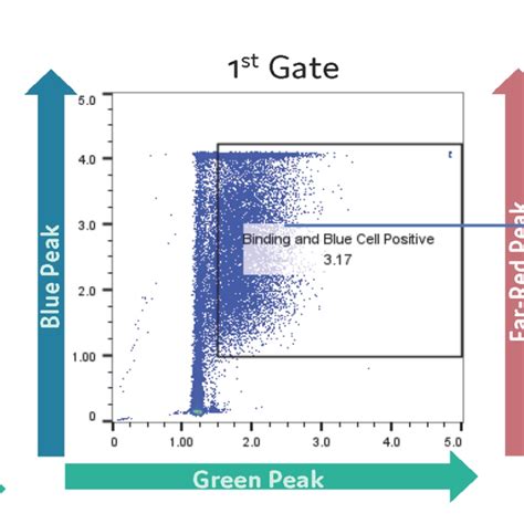 Incorporating Multiplexing And Functional Antigen Specific Binding Assays