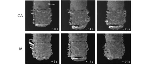 anode surface area the black dashed line illustrating the border of
