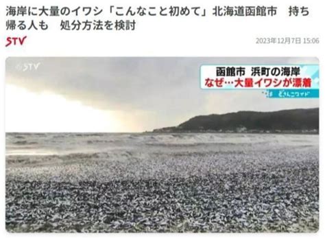 日本北海道海岸现大量沙丁鱼尸体 蔓延沙滩大约100米 闽南网
