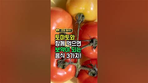 토마토와 함께 먹으면 보약이 되는 음식 3가지 Youtube