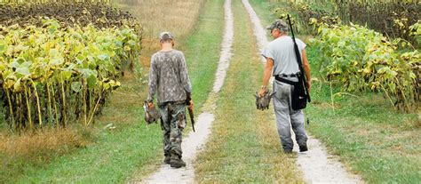 Dove Hunting Tips How To Find Attract And Shoot Doves Academy