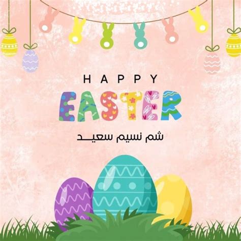 Maryam Mohamed Posted On Linkedin