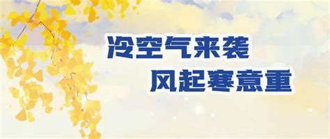 厚衣服准备！冷空气携大风降温抵达河南，最低气温降至5℃左右全省阵风白天