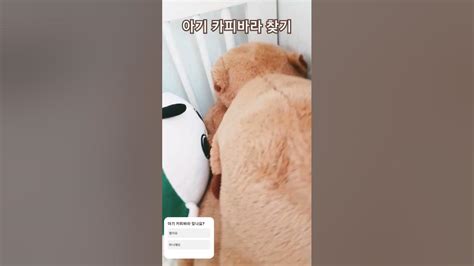 아기 카피바라 찾기 3화 Youtube