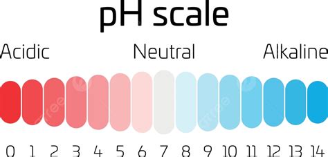 The Ph Scale A Chemistry Measure Of Acidity Or Basicity Through Ph