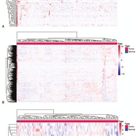 The Heatmap Represents Hierarchical Clustering For Degs In Tets A Download Scientific