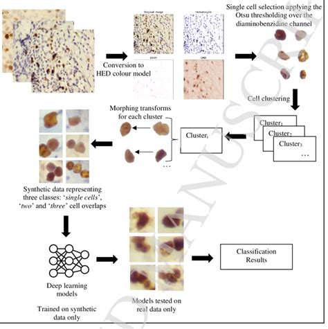The Research Pipeline Download Scientific Diagram
