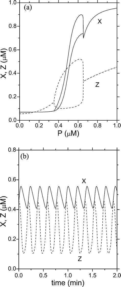 A The Bifurcation Diagrams Of X Solid Line And Z Dashed Line Are Download Scientific