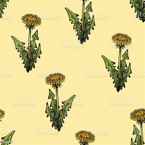 귀여운 만화 민들레 꽃은 원활한 테두리 패턴을 낙서합니다 서머타임 벡터 반복 가능한 배경 텍스처 타일 포장용 디자인 벽지를위한