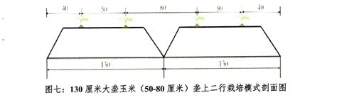 海林市玉米大垄密植暨水肥一体化栽培技术示范田播种铺管作业圆满完成 农机新闻网