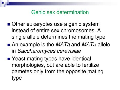 Extensions Of Mendelian Genetics Ppt Download