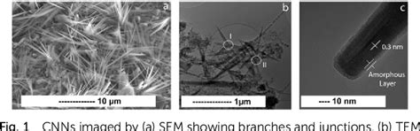 Figure 1 From High Yield Controlled Synthesis Of Graphitic Networks