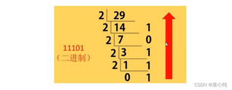 基本概念【变量和数据类型和运算符、二进制和十进制、十进制转二进制 、二进制转十进制 】一 全面详解（学习总结 从入门到深化） 阿里云开发者社区