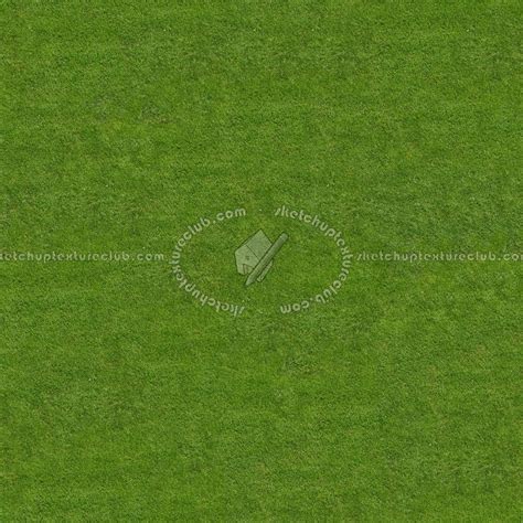 Green Grass Texture Seamless 13008 Green Grass Texture Seamless 13008