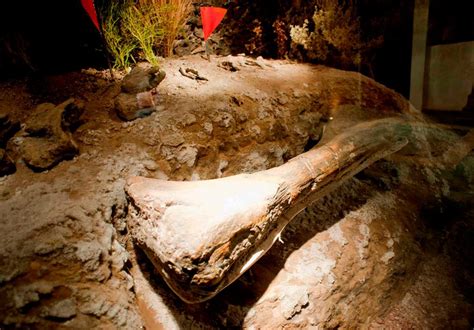 Guía Para Visitar La Bodega Familia Schroeder Viajo Con Vos