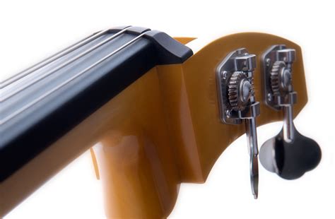 Upright Bass Fretboard At Scarlett Packham Blog