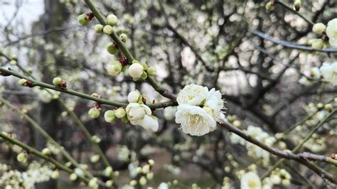 基于注解实现新增编辑数据时的重复数据校验 知乎