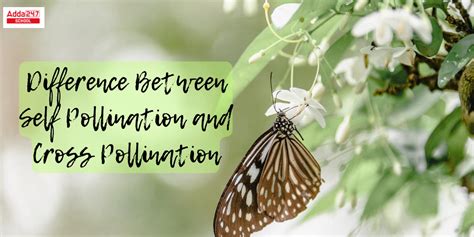 Difference Between Self Pollination And Cross Pollination