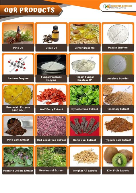 Codonopsis Pilosula Extract At ₹ 1250 Kg Dry Extract In Indore Id 2855430883191