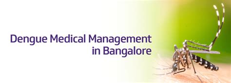 Dengue Season In Bengaluru Expert Dengue Treatment At Rxdx Healthcare