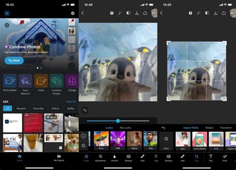 Guide To Iphone Photo Edit Hack By Using Photoshop Express Photo Editor