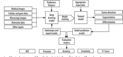 Figure 1 From Deep Learning In Ovarian Cancer Diagnosis A