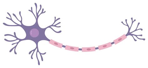 Illustration Of Violet Neuron Nerve Cell 55474388 Vector Art At Vecteezy
